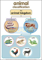 Free Printable Animal Classification Lesson Plans, Taxonomy Lessons