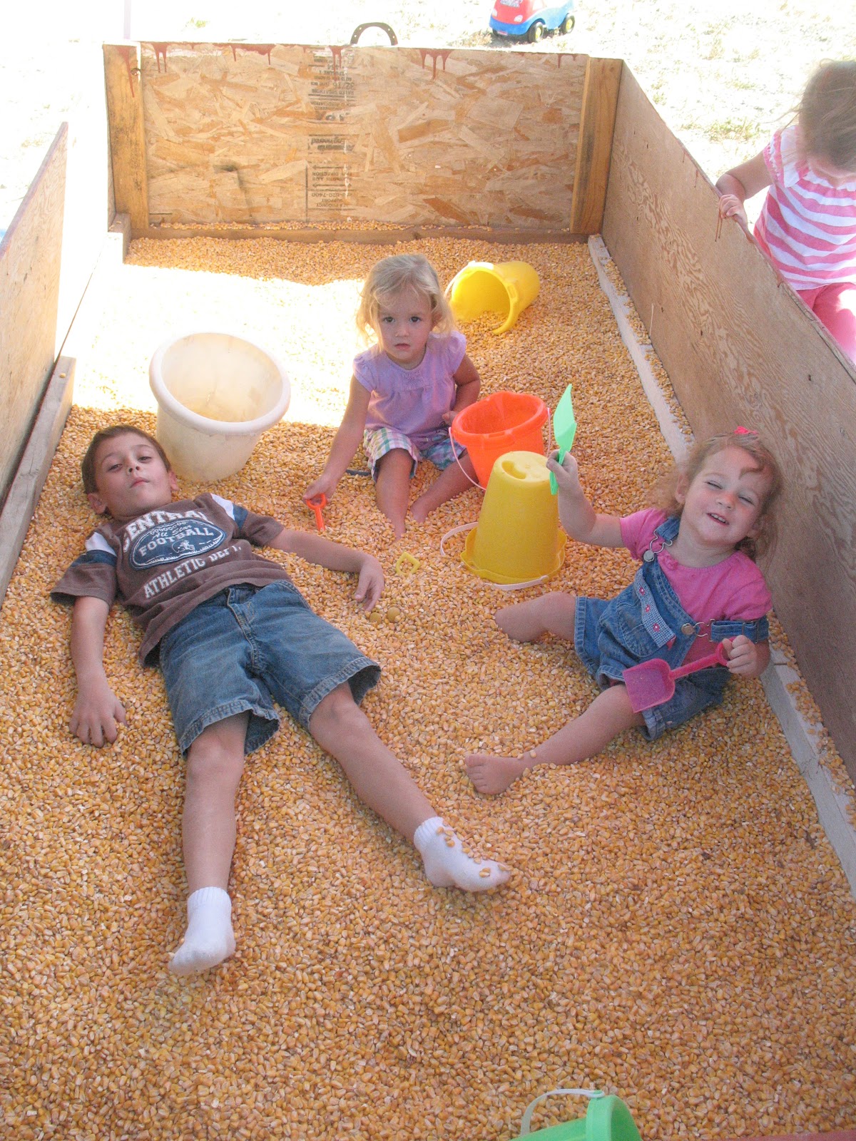 Andelin Family Farm: 2010