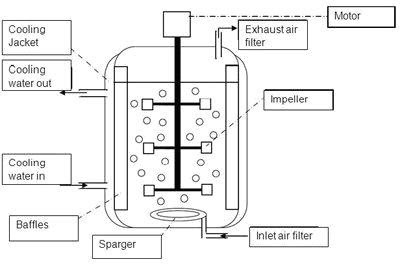 THE LIL GREEN SPOT! :D