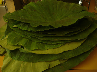 Patra (patrode) - steamed taro leaves recipe, Recipe by Madhuri.k.k ...