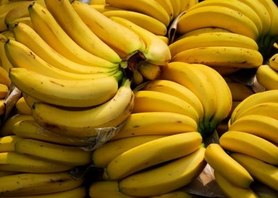 The Lusting of Eternal Wanderer