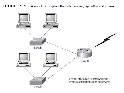 Networks Site: Purpose and Functions of Various Network Devices