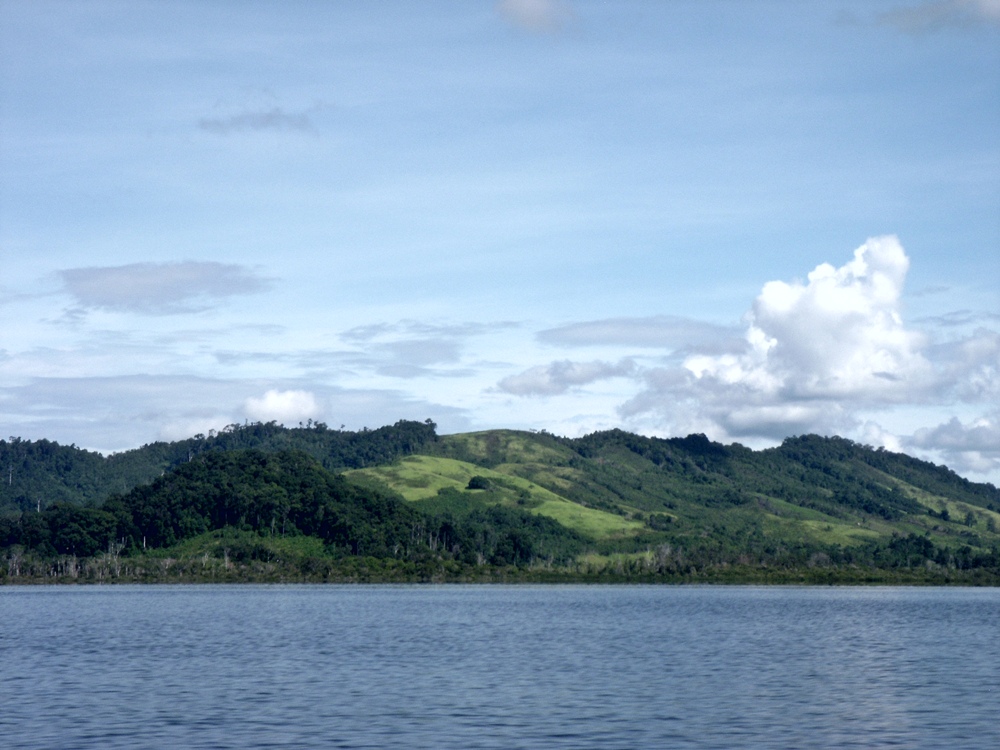 Nina`s Blog: National Park Lake Sentarum Indonesian