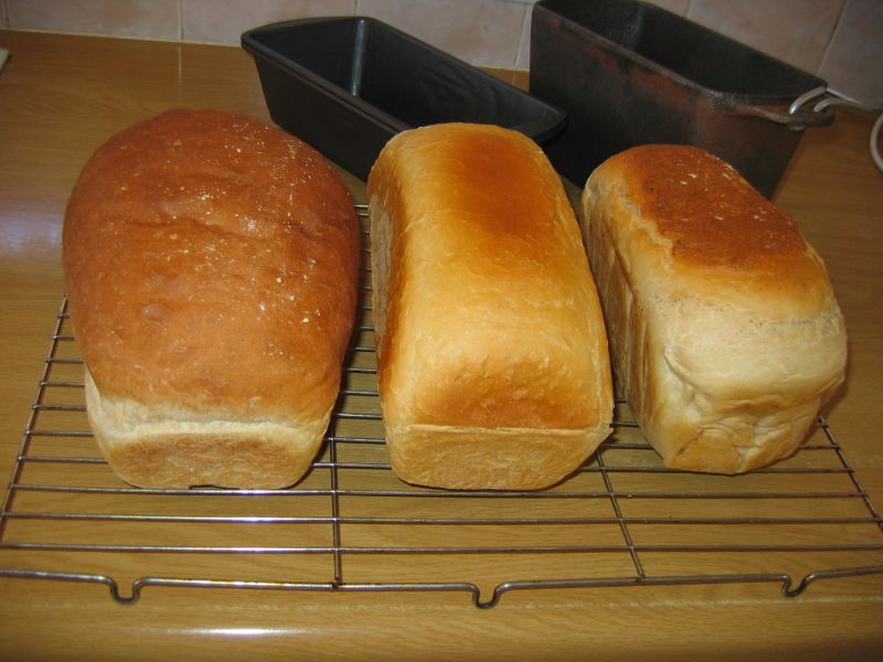 Eco Footprint ~ South Africa: The ultimate solar bread recipe