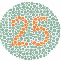 Army of Pakistan: Color Blindness test in Pakistan Armed Forces