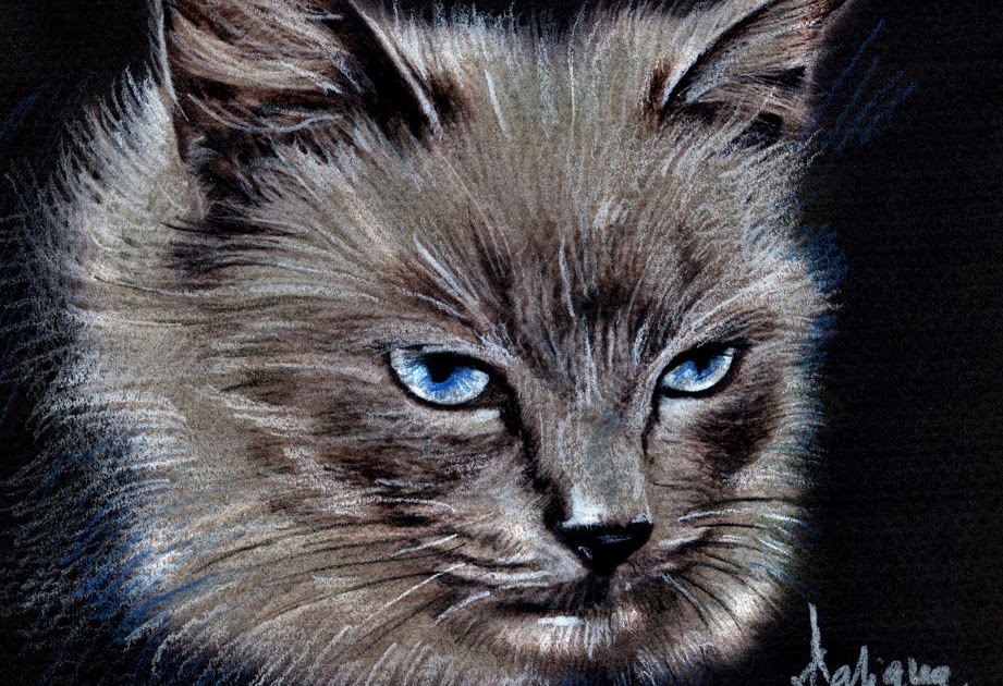 Photographis: Portrait / Cat Drawing