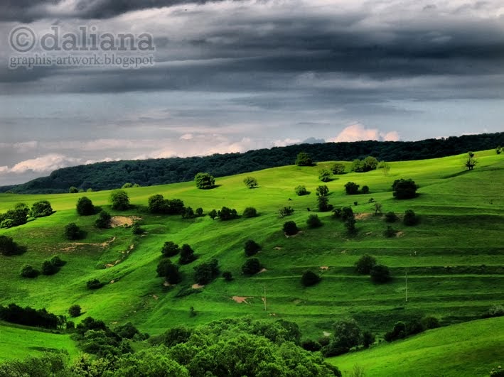 Photographis: Fields of Dreams - Romanian Landscapes
