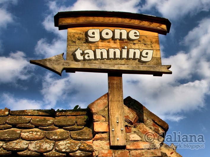 Photographis: August 2010