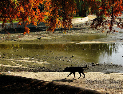Photographis: Autumn - Colors of A Shade