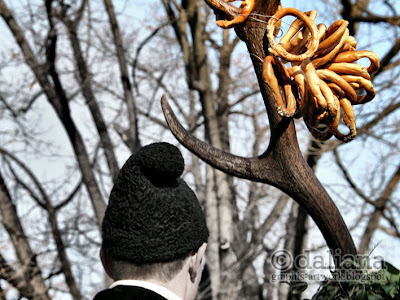 Photographis: Romania Winter Traditions / Traditii Romanesti