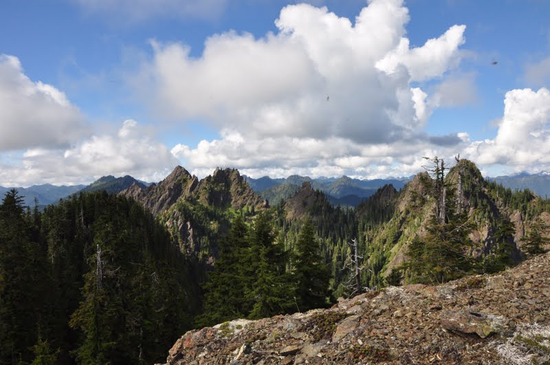 Walks with Moss: Dry Mountain