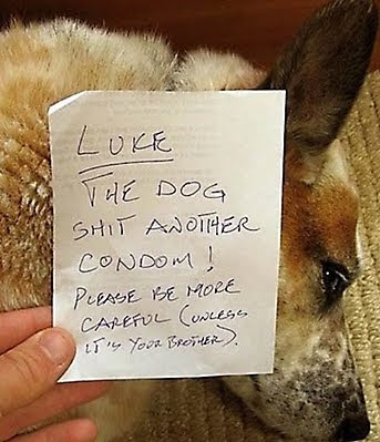 mdolla: 20 Funny Handwritten Notes