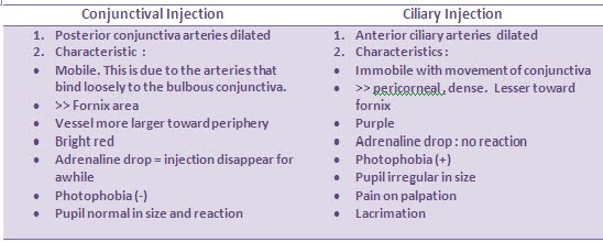Conjunctival vs cilliary injection (With images) | Arteries, Injections ...