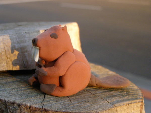 Clay Beaver's Instagram, Twitter & Facebook on IDCrawl