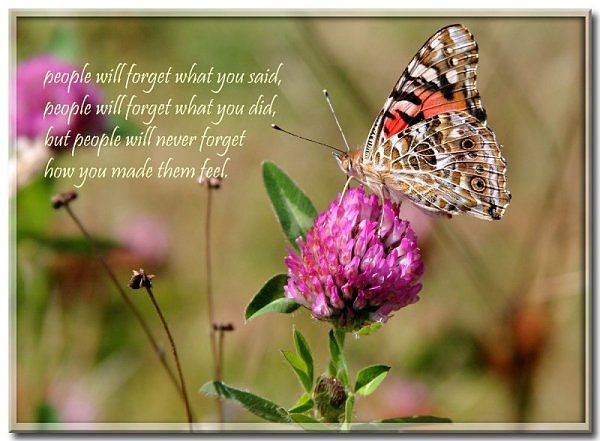 Quotes 3: 187 ALL NEW INSPIRATIONAL QUOTES TO READ EVERY MORNING