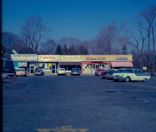 ART SKOOL DAMAGE : Christian Montone: With Love From Suburbia