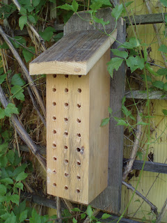 Montana Wildlife Gardener: Build a Mason Bee House in 5 Minutes