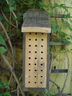 Montana Wildlife Gardener: Build a Mason Bee House in 5 Minutes