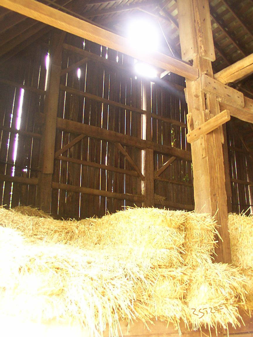 bits and pieces....: Praying in the haystack...