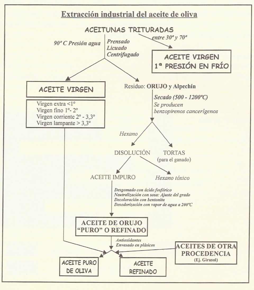 Los Aceites: obtención, composición y tipos ~ MEDITACIONES CULINARIAS