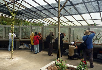 Asyiknya photoq2 duk shoot pelbagai spesis ular tu..