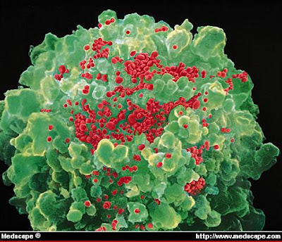The Green Man Diary: HIV 101 - The HIV Life Cycle