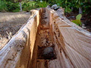 Cherish Earth Project: Log Planter Box