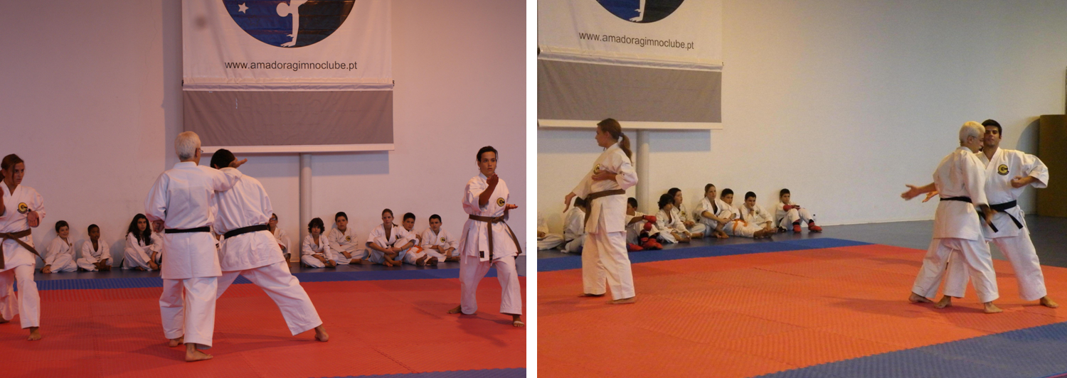 Karate-do.pt: A importância da Bunkai