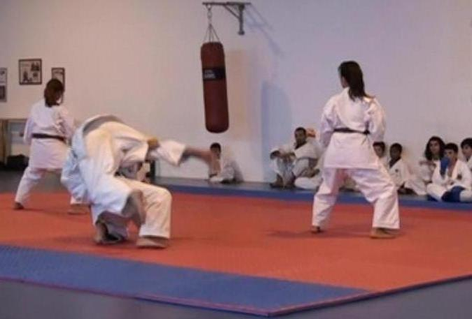 Karate-do.pt: A importância da Bunkai