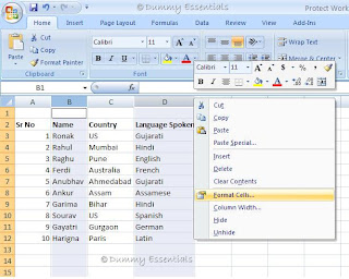 Dummy Essentials: Protect Worksheet In MS Excel 2007
