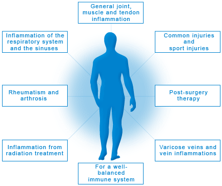 Enzymes For Health: Therapeutic Enzymes