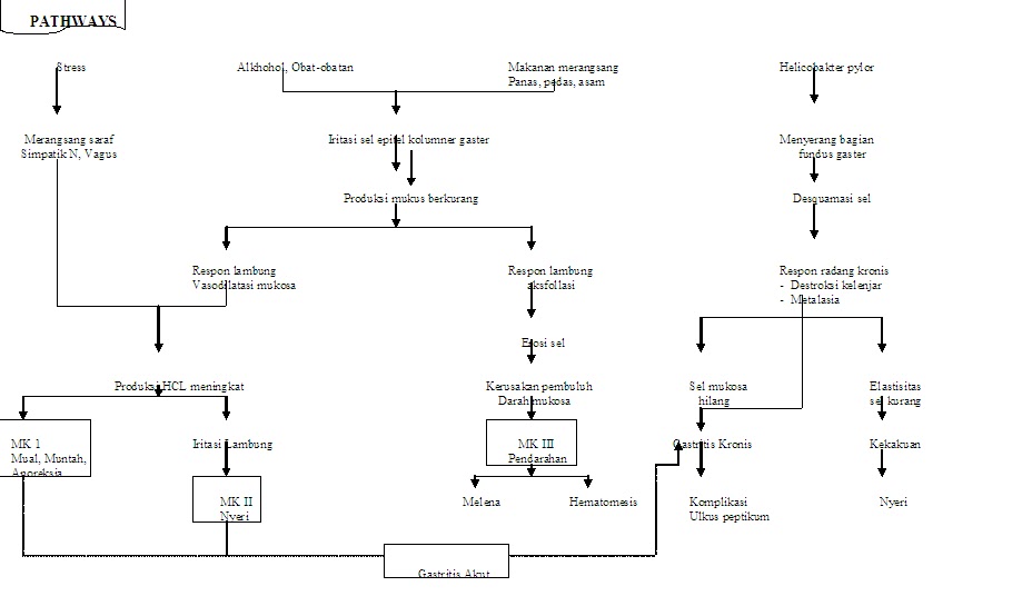 pathway gastritis akut | Rachmalluucciioouuss
