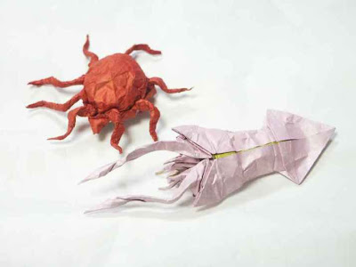 cephalopod centerfold: April 2007