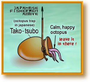 cephalopod centerfold: Takotsubo cardiomyopathy, or broken-heart syndrome.