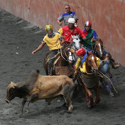 los toros coleados