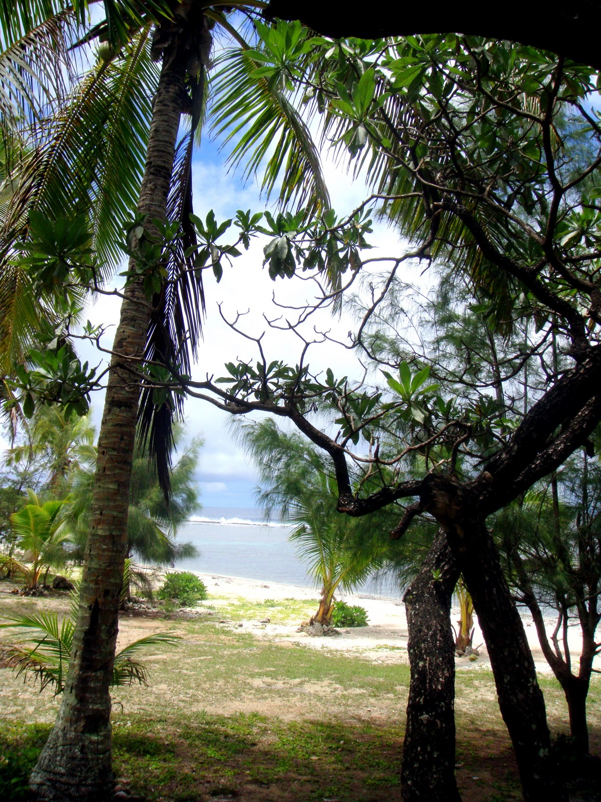 Country Living's simple delights: My Dream places in Tonga