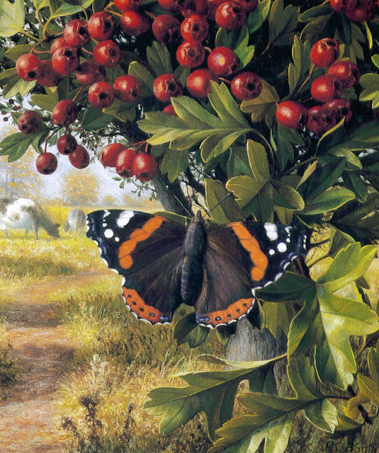 Spencer Alley: Raymond Booth