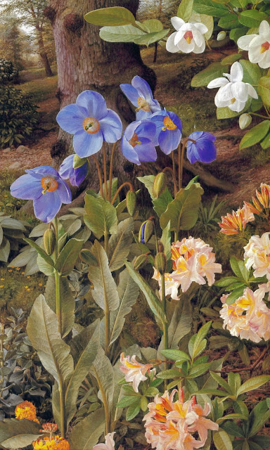 Spencer Alley: Raymond Booth