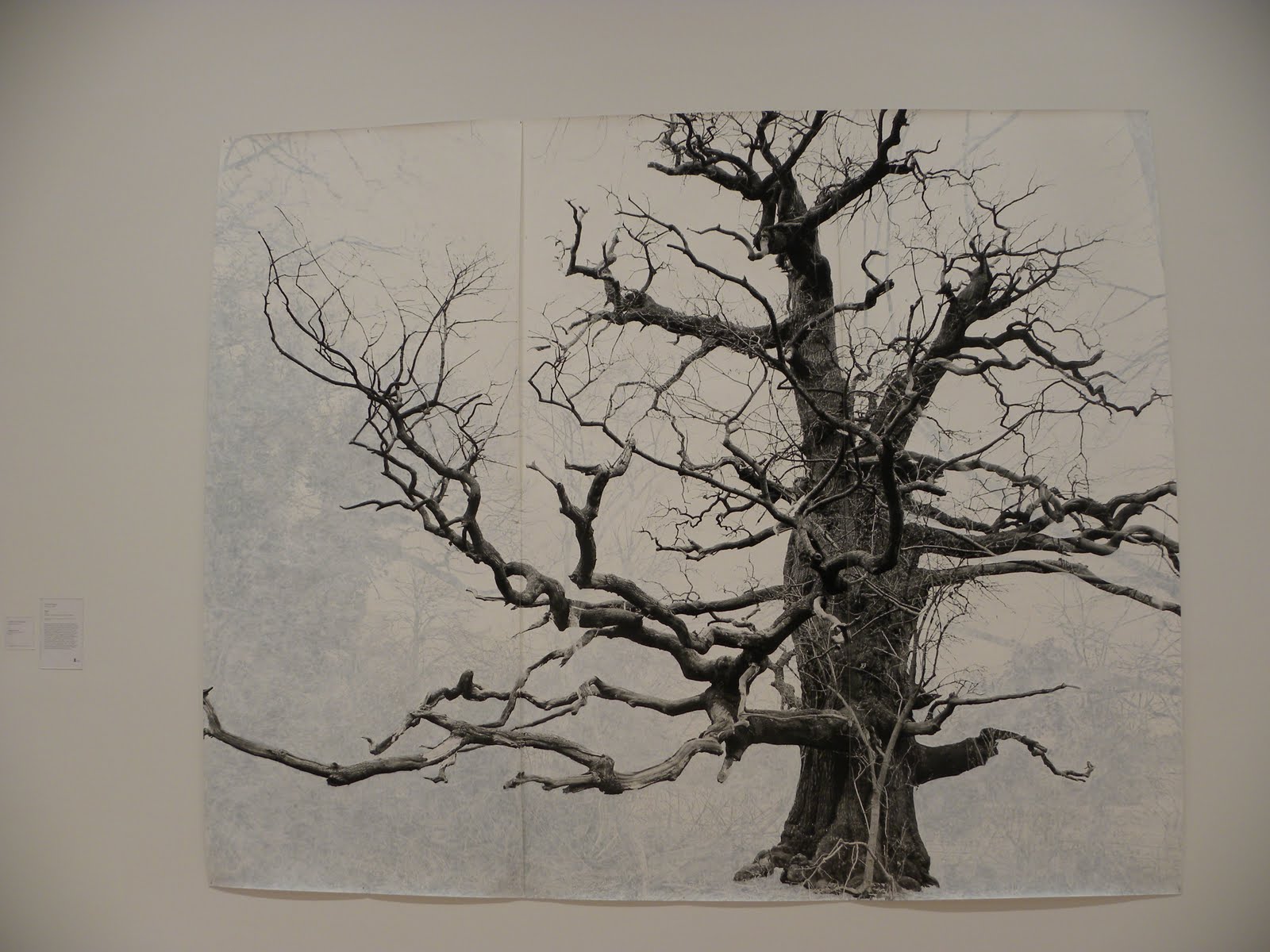 Spencer Alley: New Art