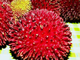 Buah-buahan tempatan (malaysia): BUAH PULASAN