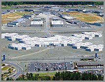 Hook'em and Book'em: Operation Black Widow