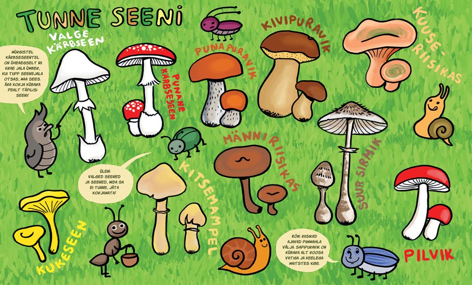 joonistajad koos: 99 - Seened - Elina