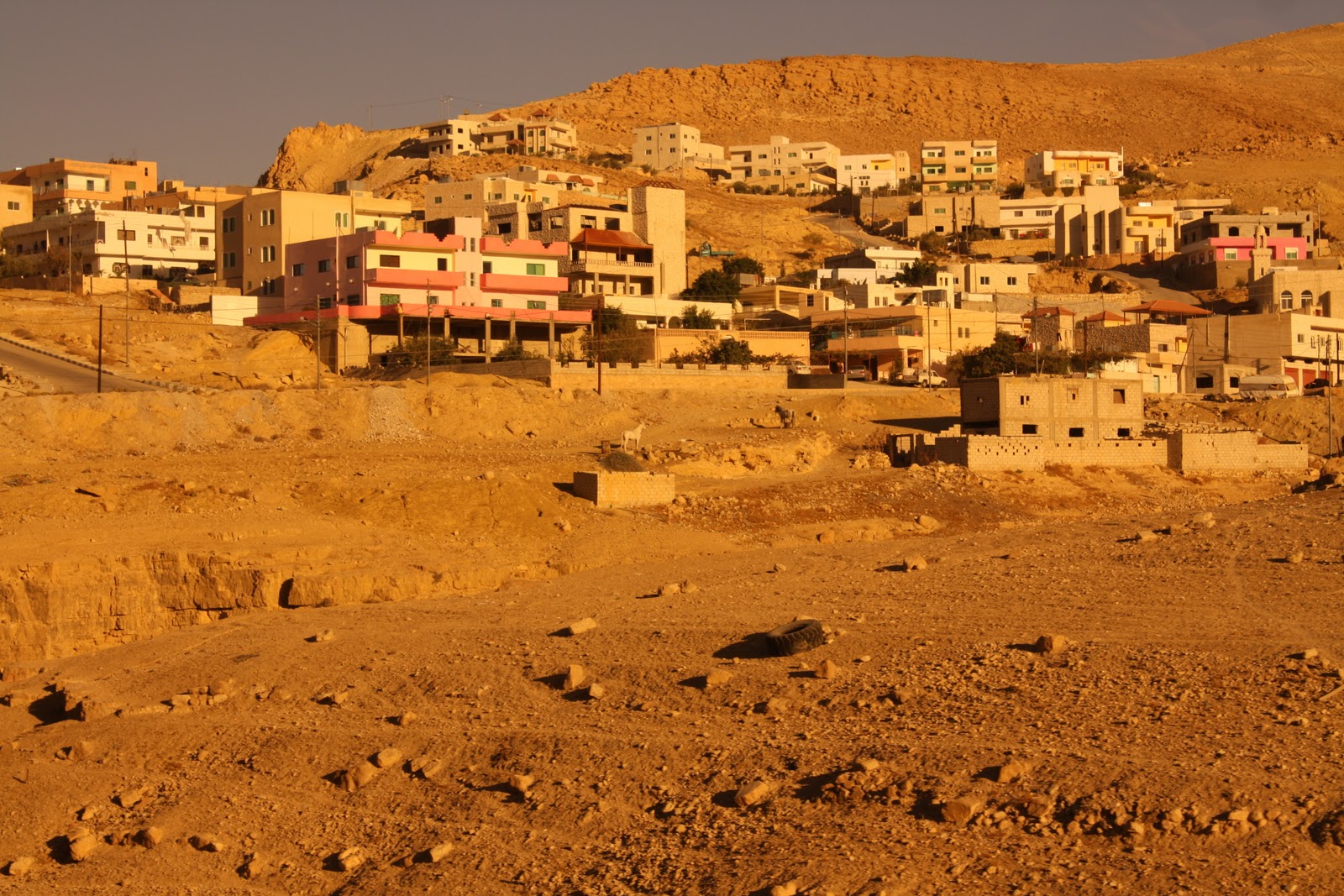 Ziggy's Adventures: Significant Sites