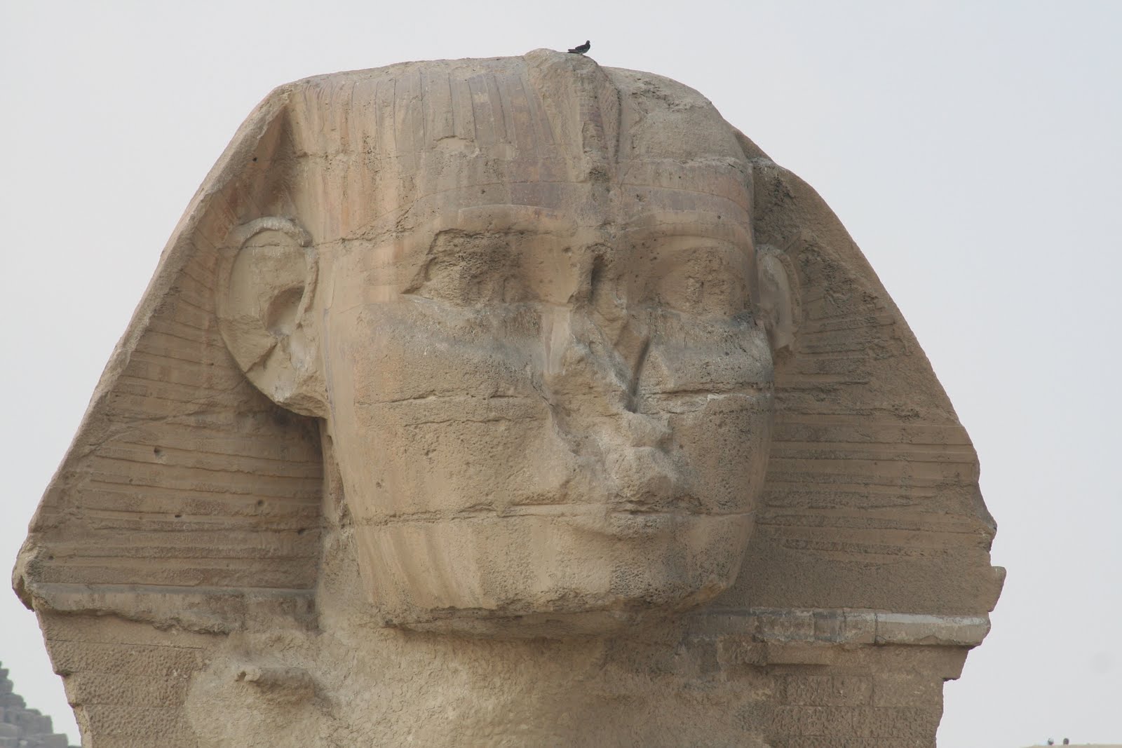 Photo Gallery: Ehram e Misar(Human Head)