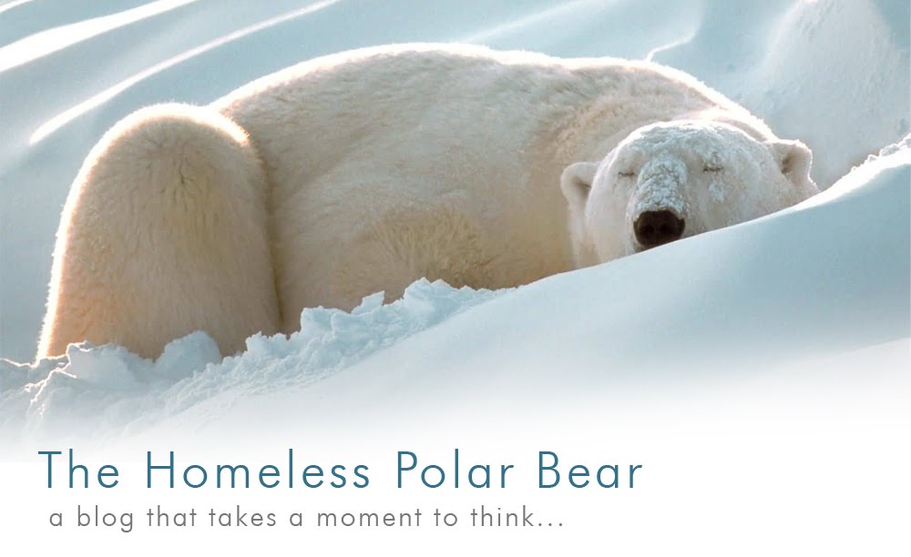 The Homeless Polar Bear: Dumpster Conversions