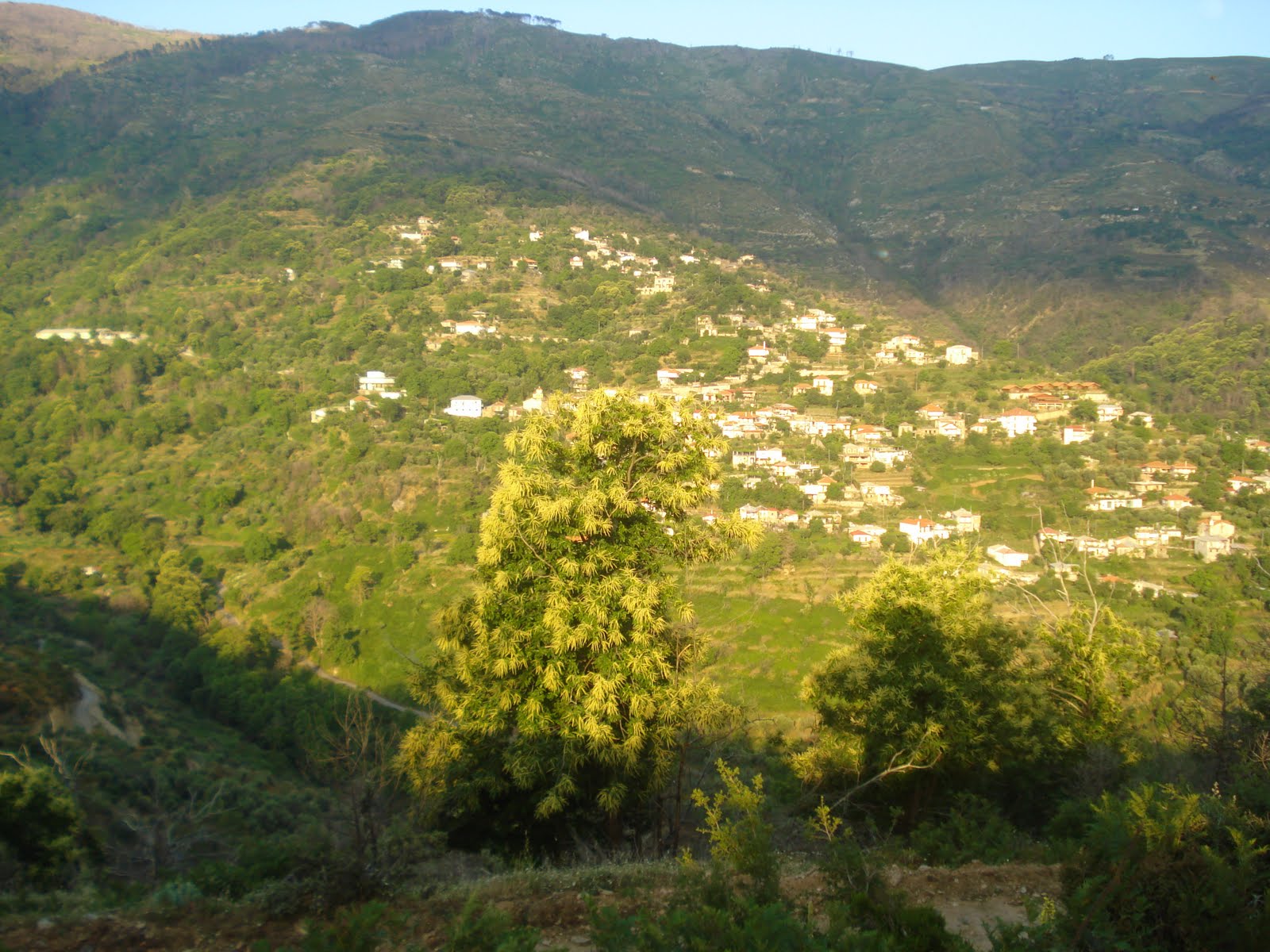 kkokinos: Καστανια -Ταυγετος