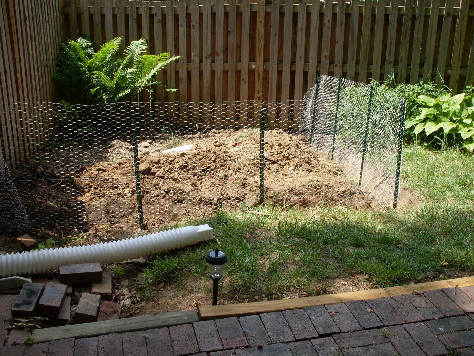 Bizarre Gardening Accident: Vegetable Garden