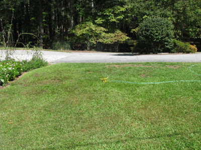 In the Garden: Pot Holes