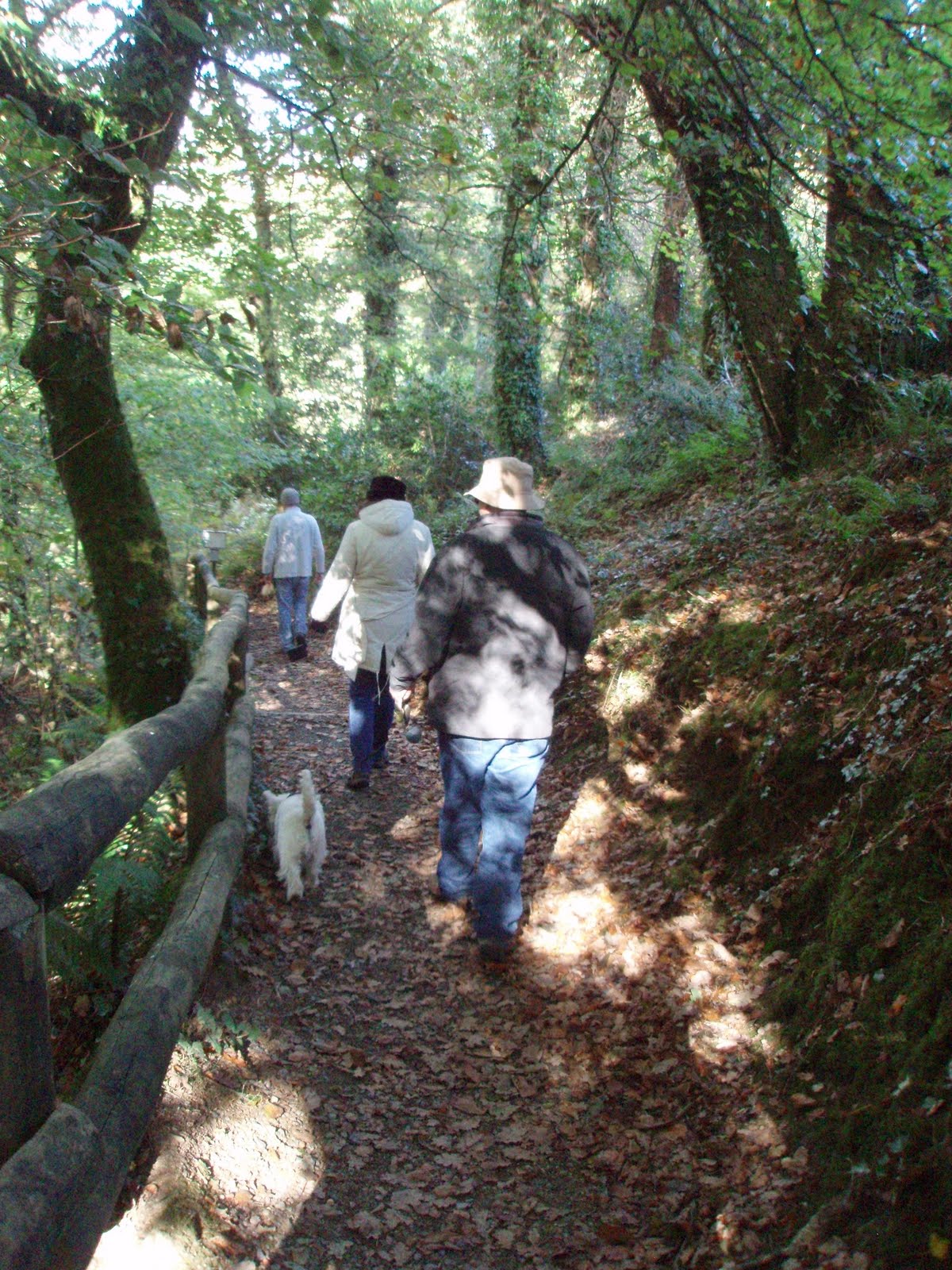 Cornwall - Beside the Sea: Meldon Reservoir and Lydford Gorge