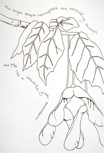 It's About Art and Design: Maple Tree Helicopters